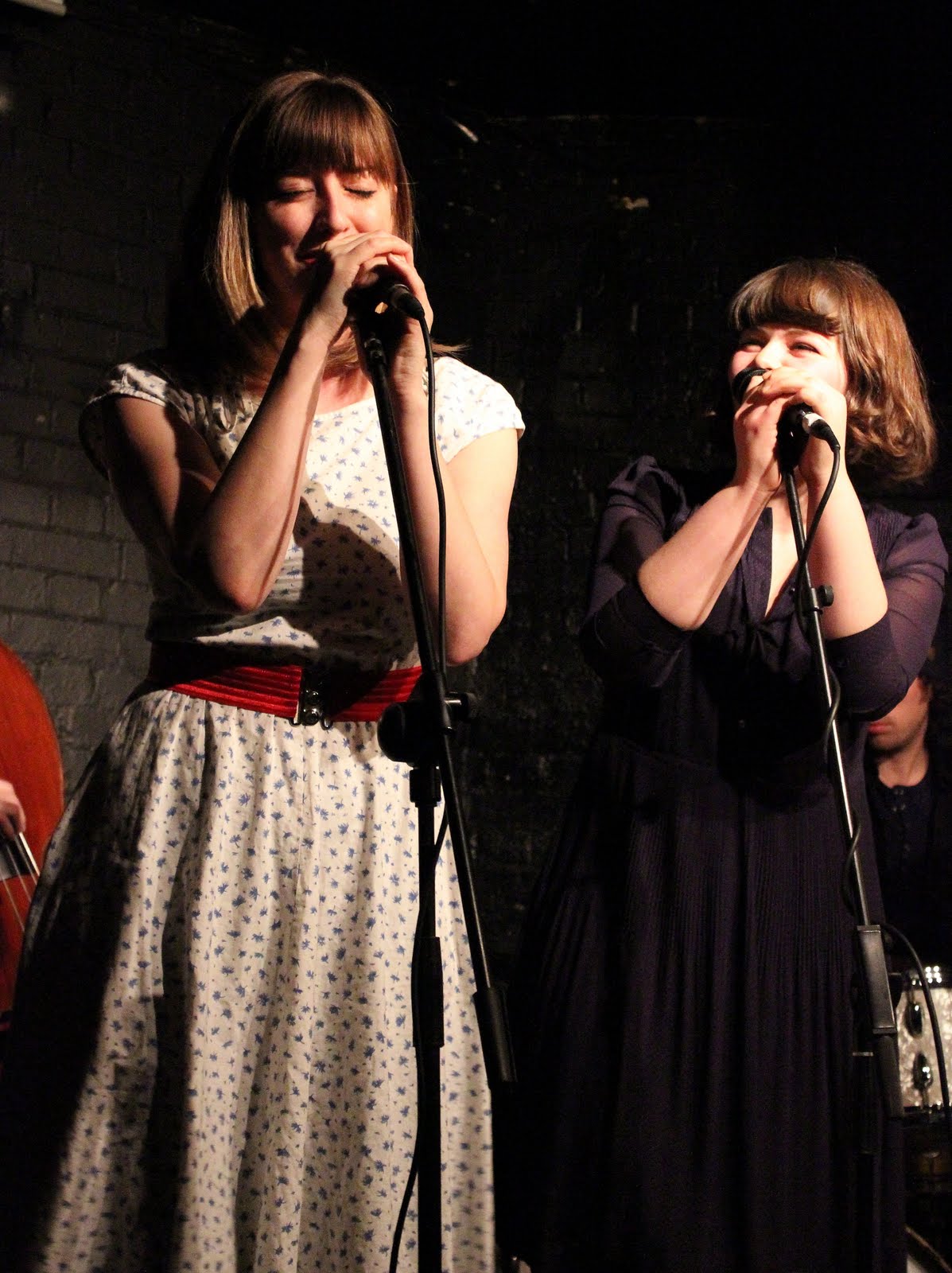 Lionstigersrahhh: The Memory Band "Oh My Days"