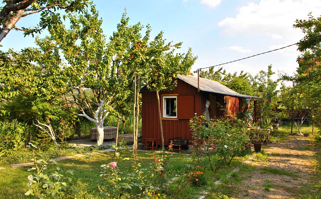 Grădina dintre caişi: Gradinaritul, sursa de sanatate fizica si psihica