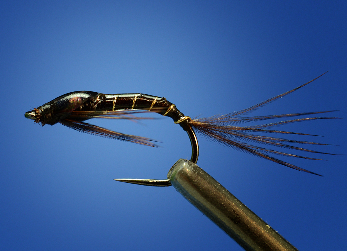 Anatomy Of A Fly Fishing Rod at Vincent Womack blog