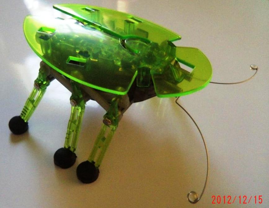 Porky's Cavern: Original HeXBug & Larva