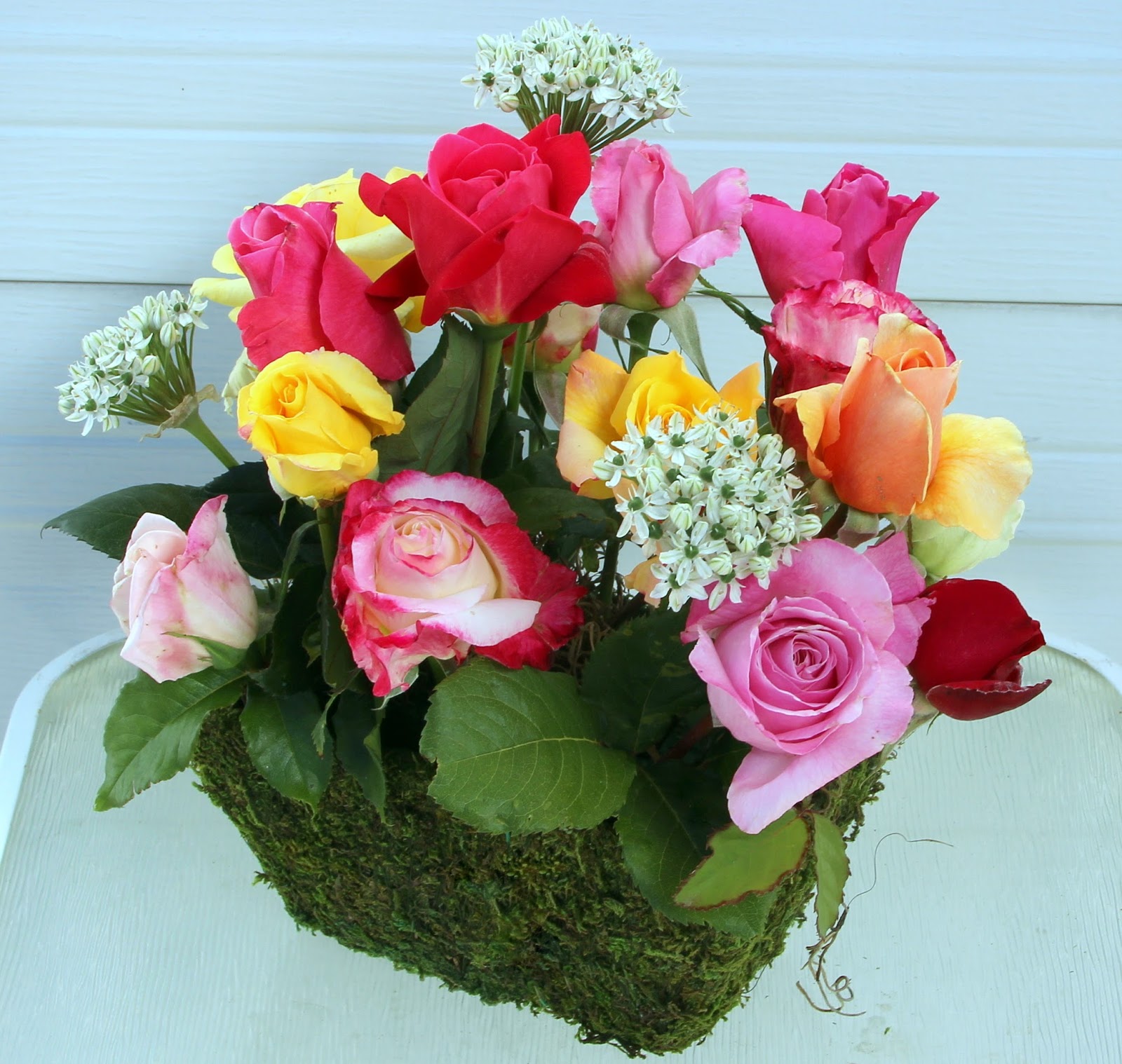 HYBRID TEA ROSES- USING THE FIRST FLUSH OF SPRING ROSES IN BASKET ...