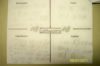 Earthworms | First Grade Shenanigans