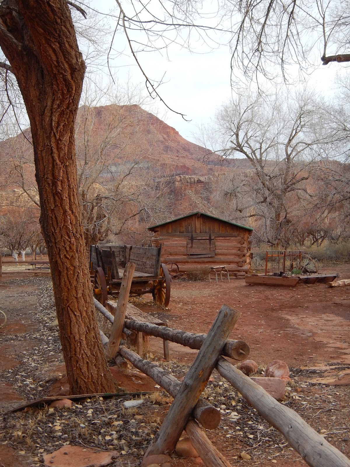 A Place to Share: Lee's Ferry and Lonely Dell Ranch