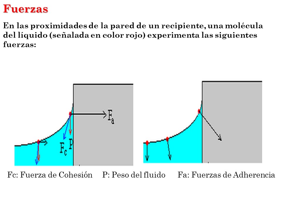 Física: Presentación Capilaridad