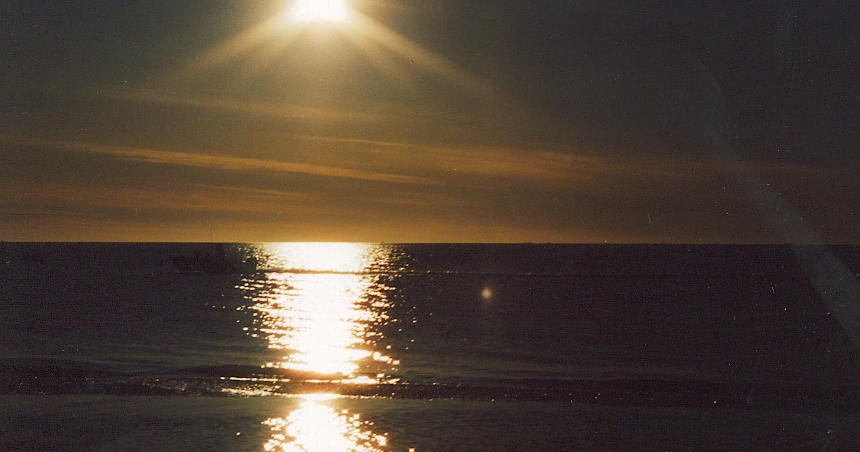 Thoughts from Frank and Fern: Frank & Fern Feral