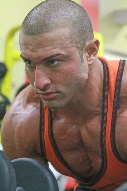 Vascular Bodybuilding Muscle Stop!: Beautiful prominent head and neck ...