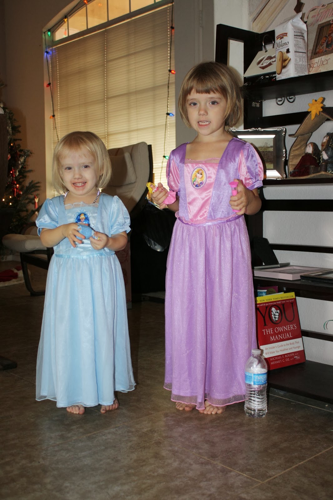 Crazy Family Blog: Happy Birthday Princess