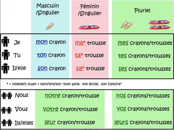 C'EST CHOUETTE: LES ADJECTIFS POSSESSIFS