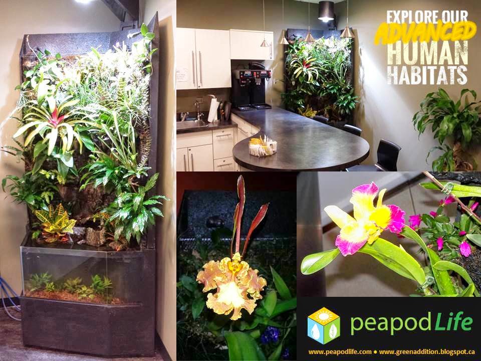 PeapodLife: ECOsystem, ECOlogy, ECOnomy It’s all about “How We Live” in ...