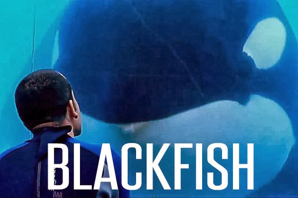 The Movie Man: Blackfish (2013)