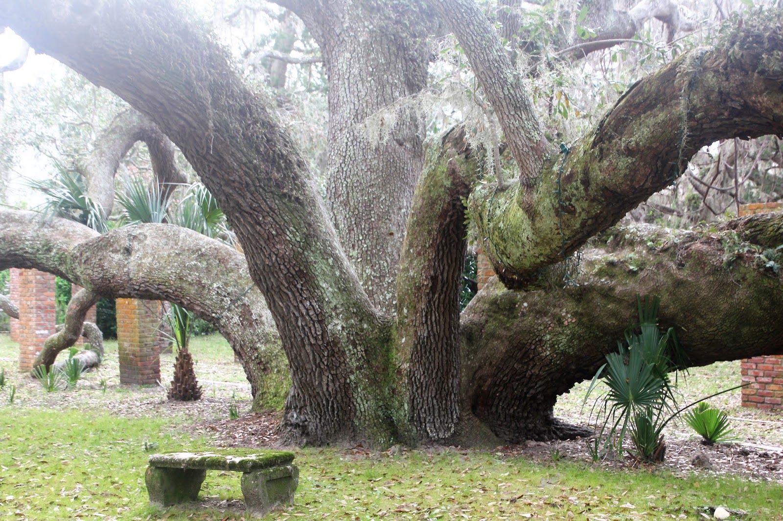 Romancing the Home: The Greyfield Inn on Cumberland Island