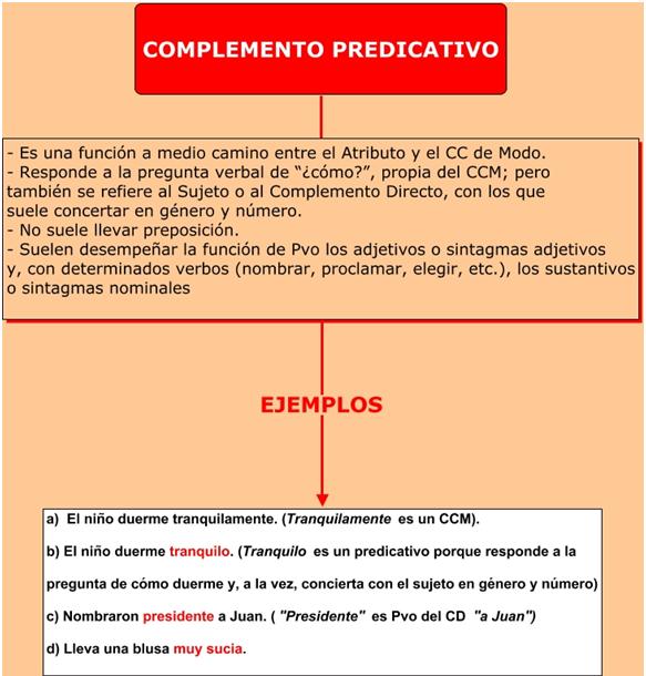 latin.de.cuisine: EL COMPLEMENTO PREDICATIVO, ¿cómo identificarlo en latín?