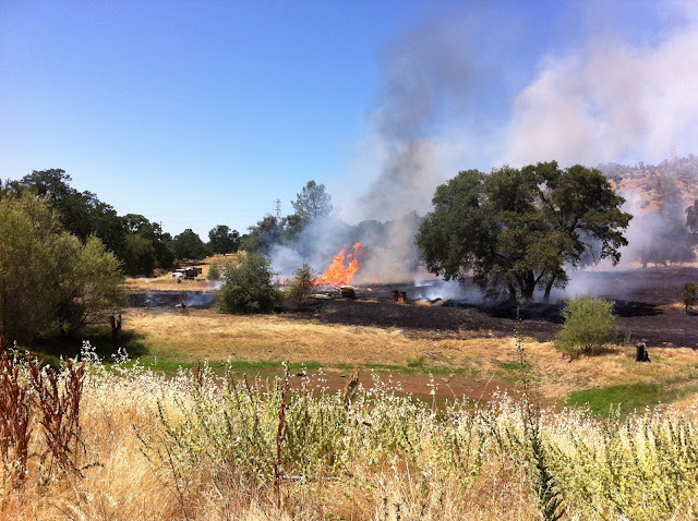 Copper Gazette: Baker fire photos from viewer