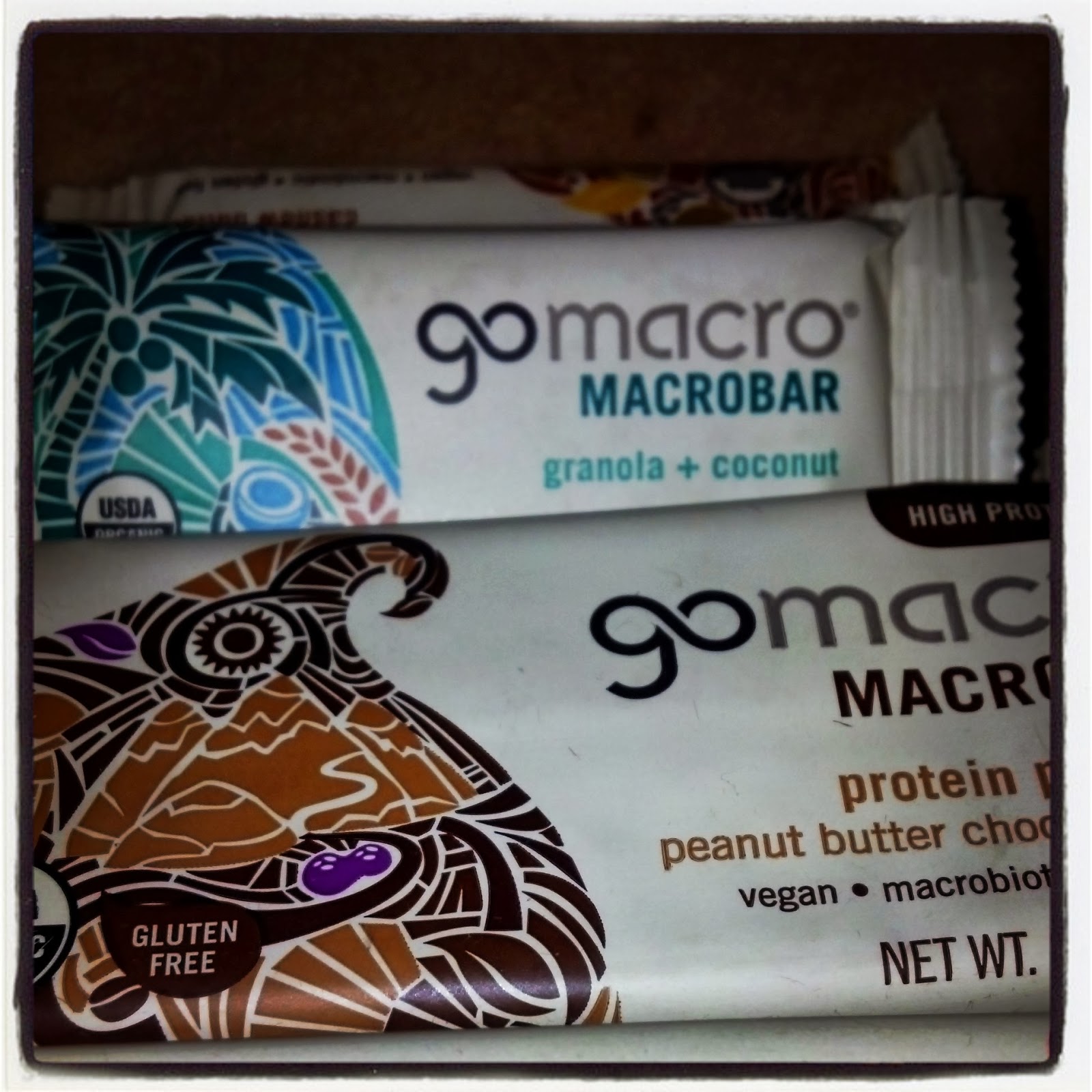 Living the Paisley Life: GoMacro Bars Review