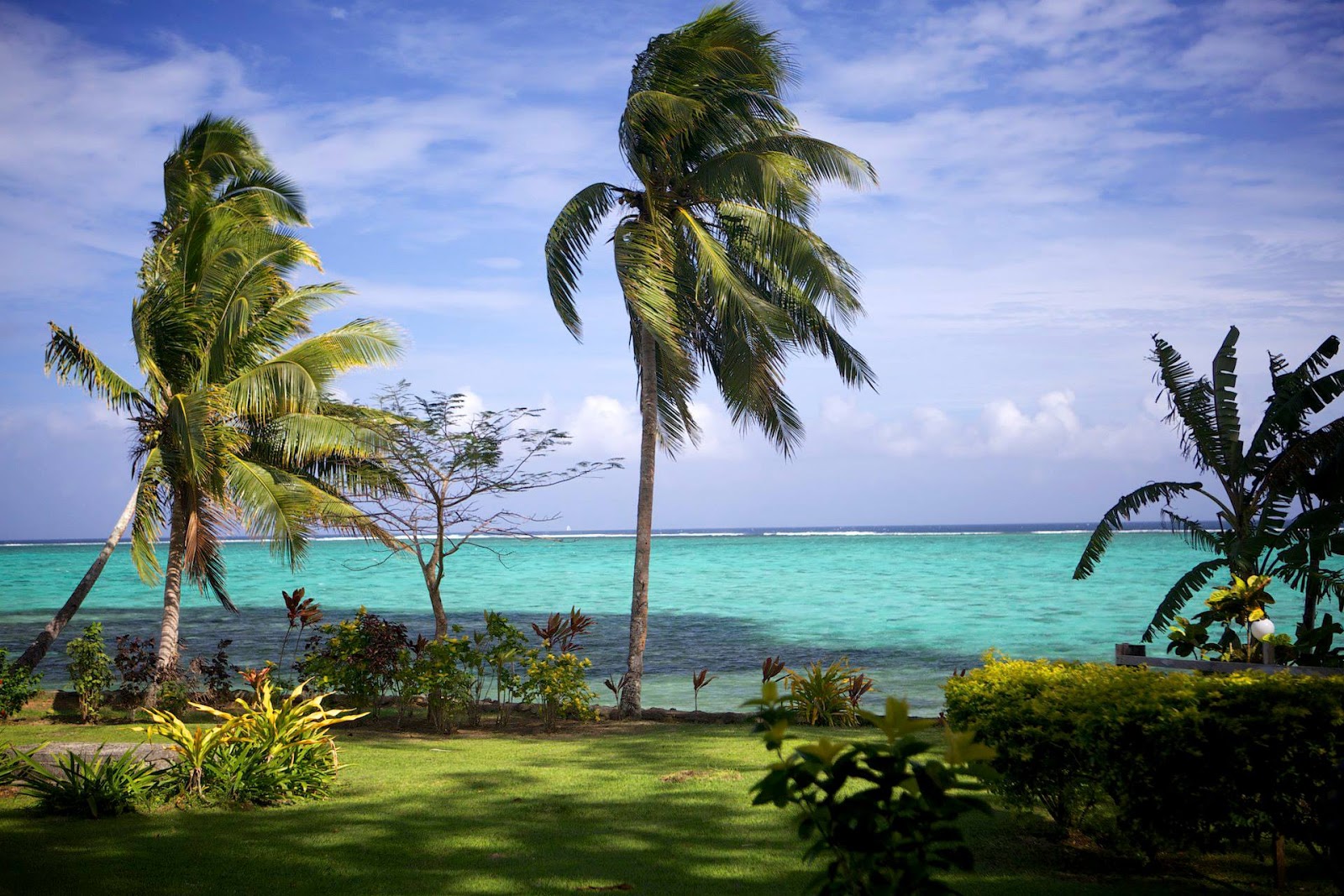 Visez les Z: Bula Fiji!