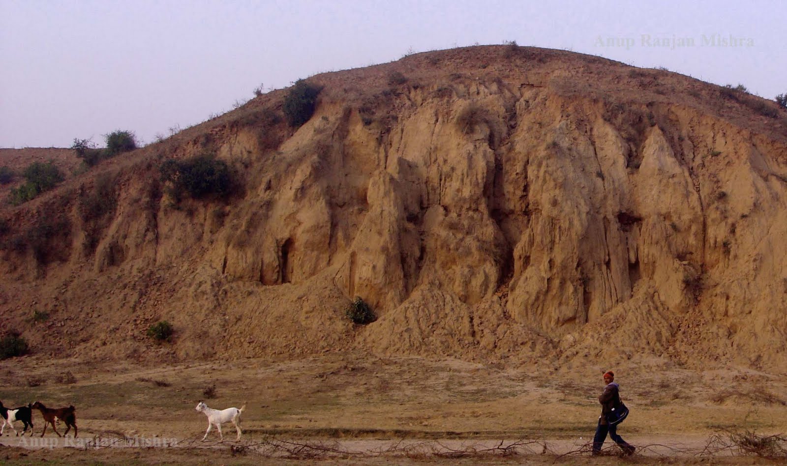 Save Ancient Indian Sites: 2. AHICHHATRA: At the Mercy of Vandalism