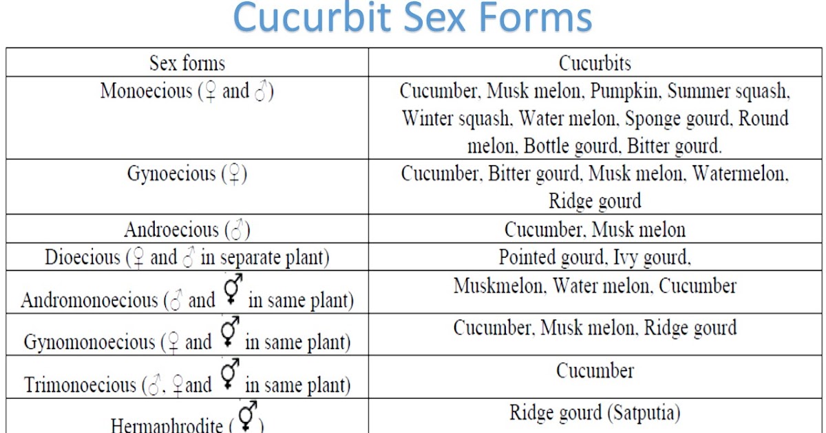 Manipulation of Sex Expression in Vegetables for Hybrid Seed Production ...