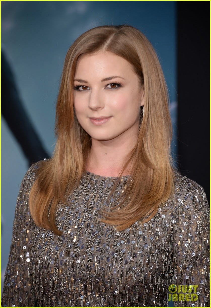 Emily VanCamp Blog: Emily VanCamp Premiere 'Captain America: Winter ...