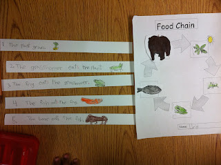 Primary ESOL: Food Chain