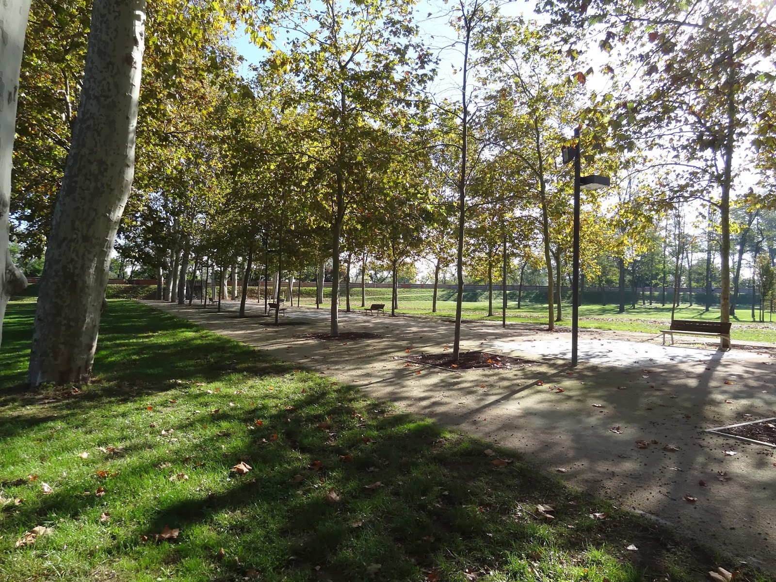 Sibellule: Parc des Ramiers (Blagnac)