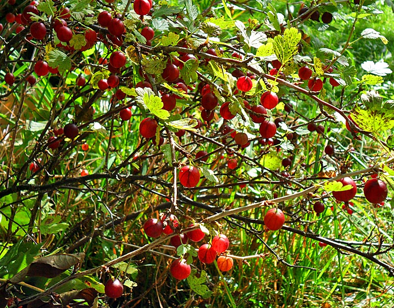 arkimietteitä: syyskuuta 2012