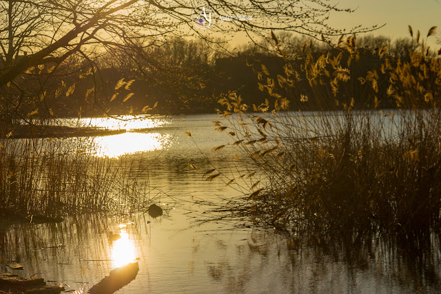 How to Capture Magical Sunsets