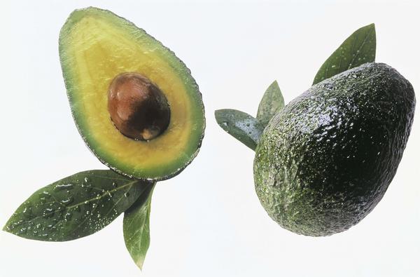 How to Grow Avocado From Seed | Garden How