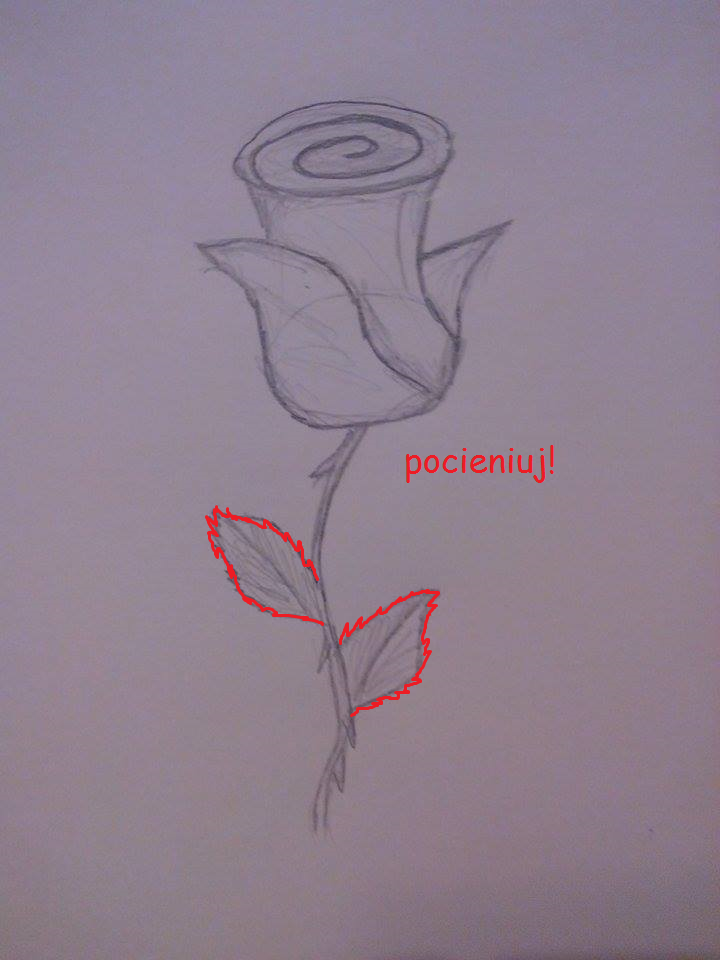 NattDIY: Jak narysować... róże!