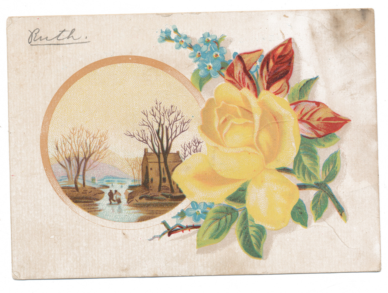 Forgotten Bookmarks: A Flower For Ruth