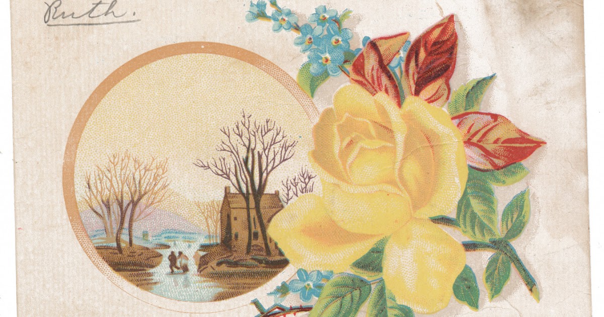 Forgotten Bookmarks: A Flower For Ruth