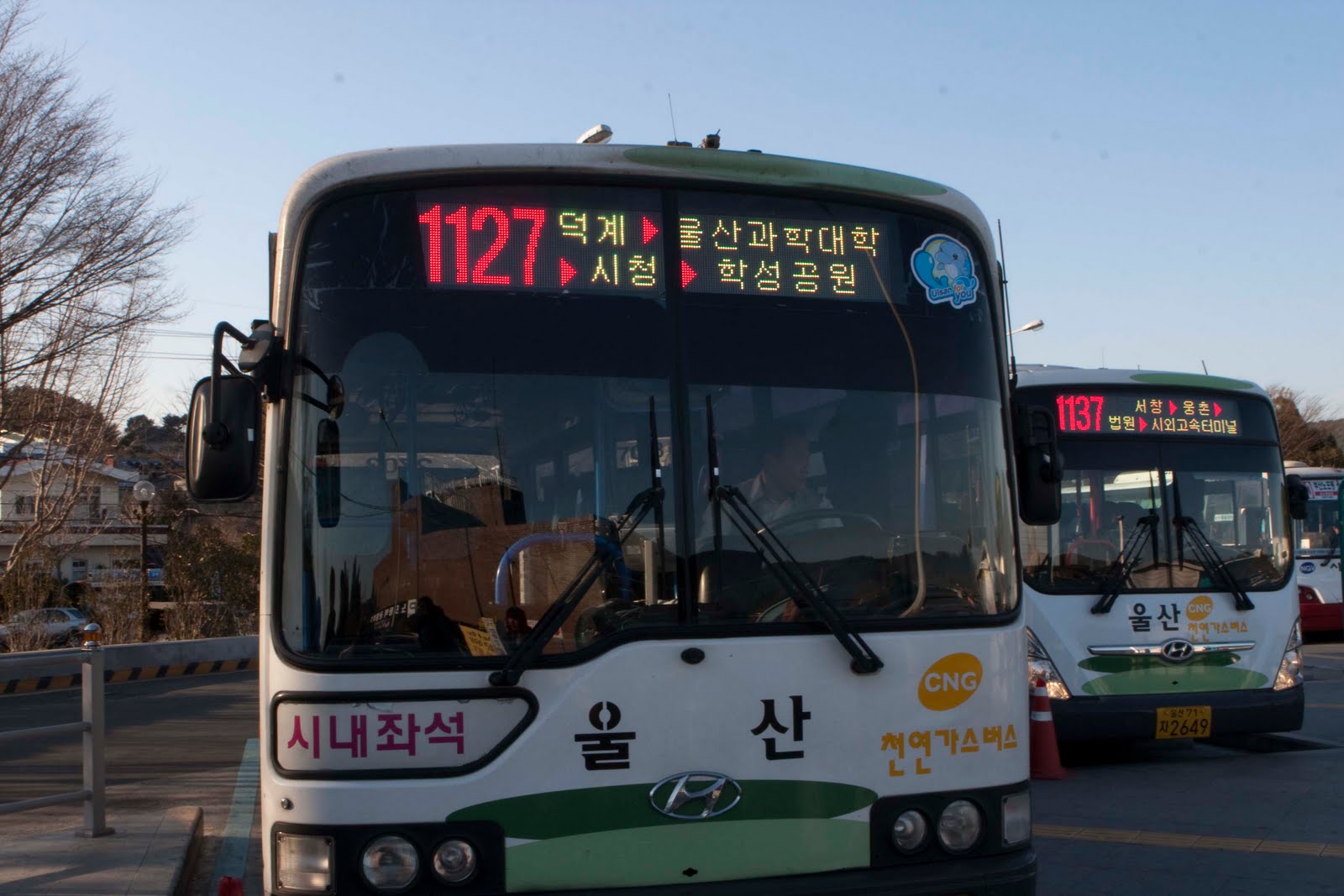 Travelholic: Busan to Ulsan (South Korea)