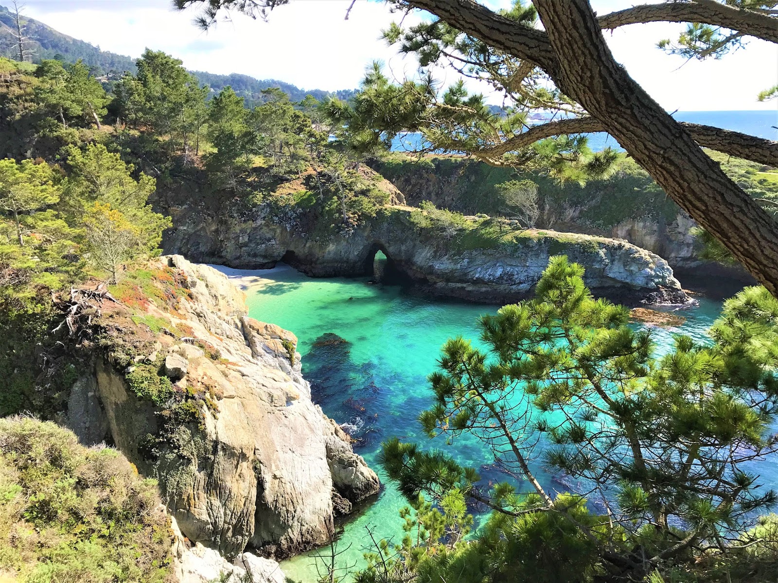 Bay Area Day Trips - Point Lobos State Natural Reserve