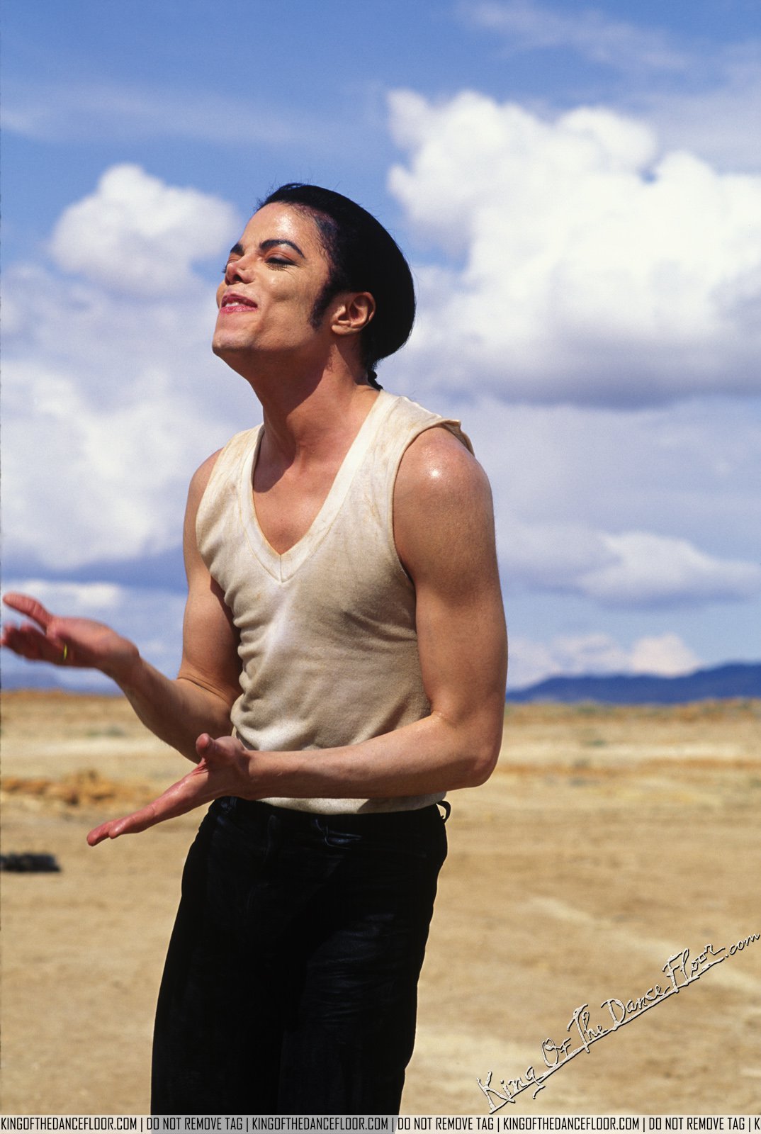 ♦ MJ THE KING OF POP♫♦¸.·'´¯)♪