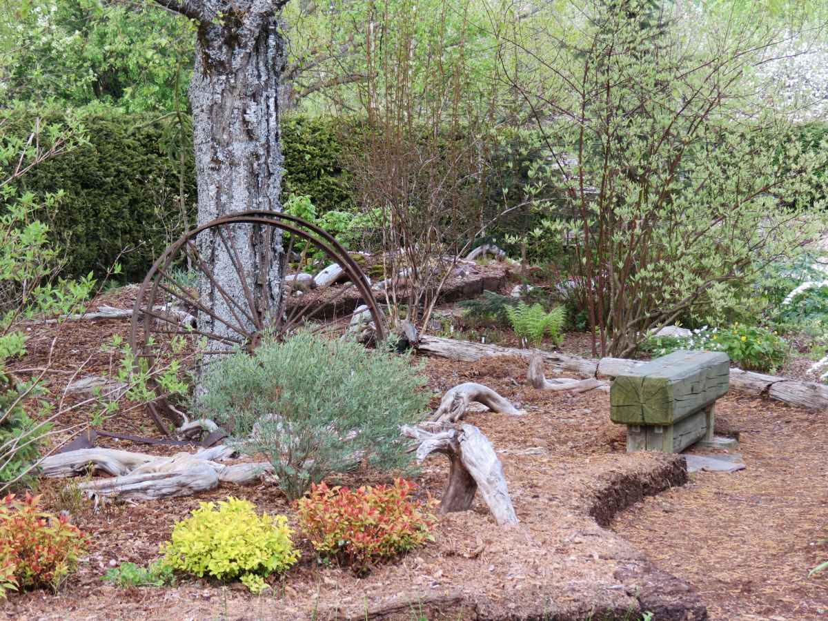 Helle ja Aini aed: 2017