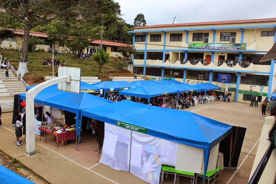 UNIDAD EDUCATIVA "CARIAMANGA": Feria de Ciencia Y Tecnología