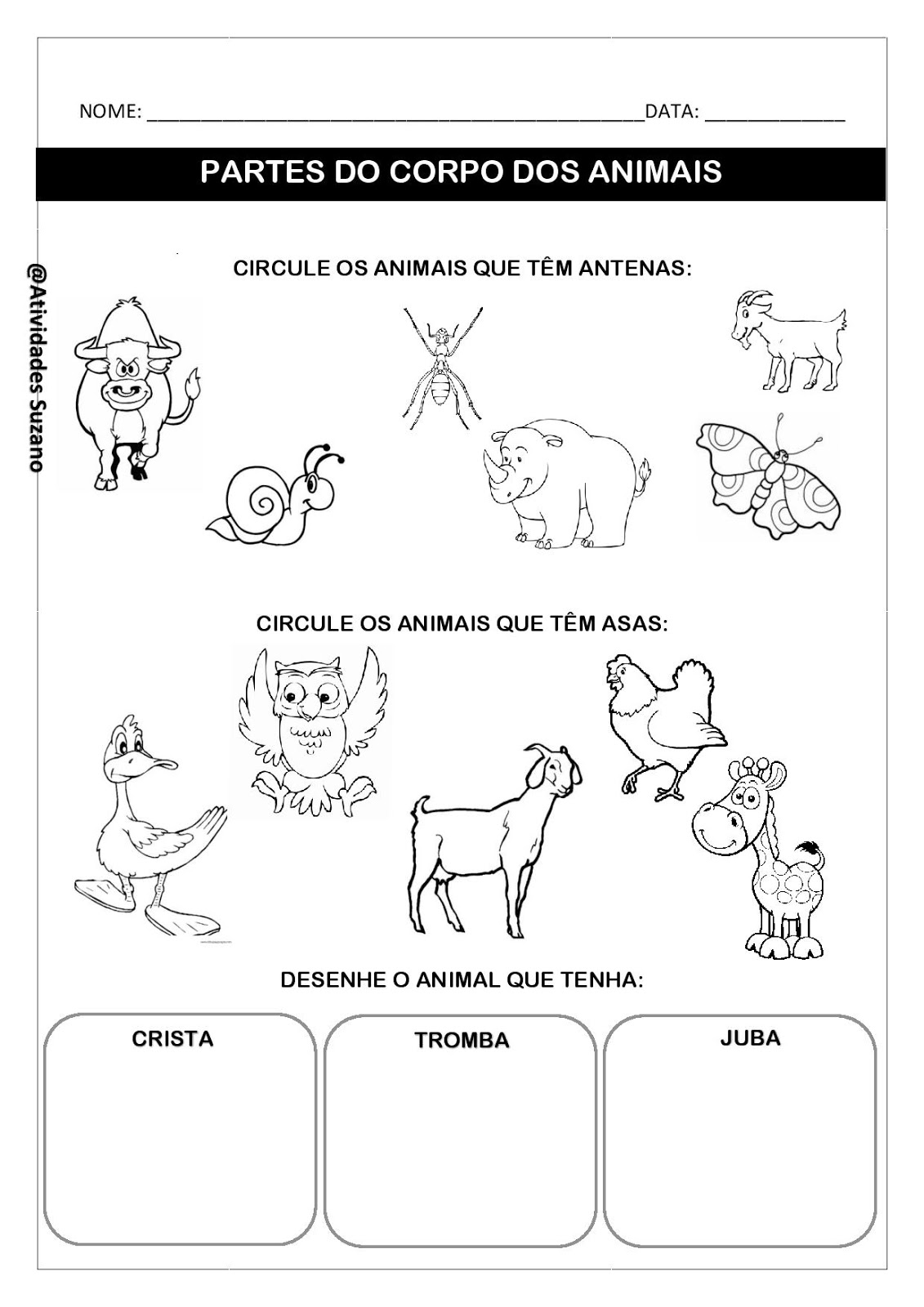 Atividades Cobertura Do Corpo Dos Animais 3 Ano - BRAINCP Atividades Cobertura Do Corpo Dos Animais 3 Ano - BRAINCP