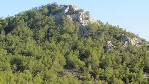LA CULTURA HUMANA - HUMANIDADES 1: LITERATURA ANTIGUA TEATRO GRIEGO 3 ...