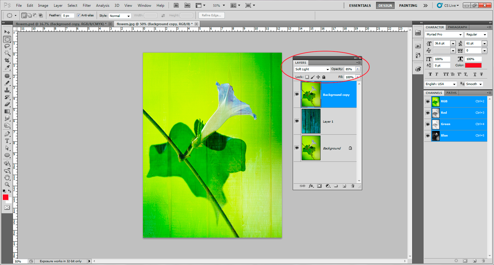 School Of Digital Photography: How to Use Textures to Enhance Your ...