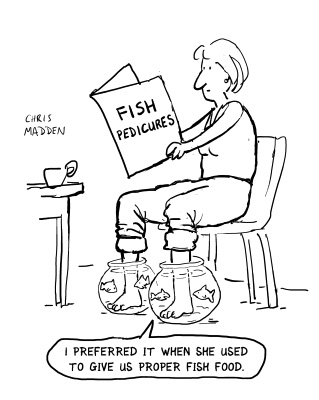 The Fisheries Blog: Doctor Fish: What seems to be the problem?