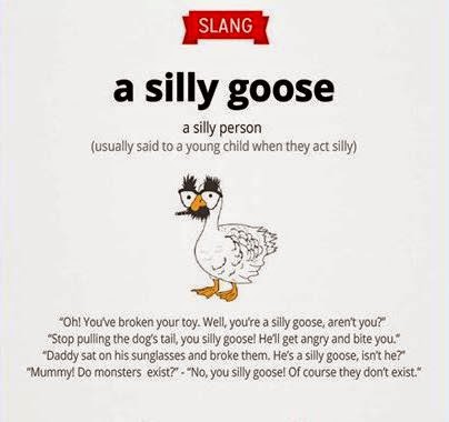English is FUNtastic: Slang - the meaning of "a silly goose"