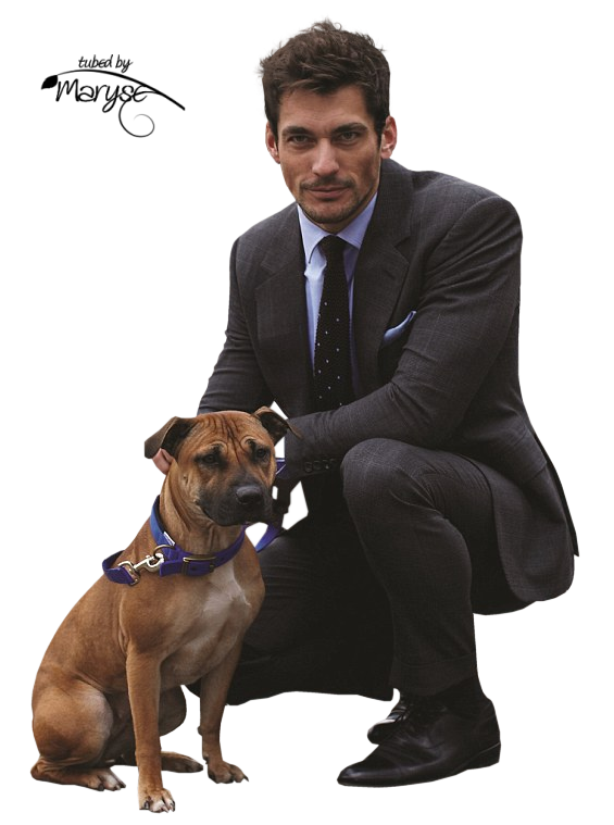 PSP Tubes & créations de Maryse: MR_David and Cocobean