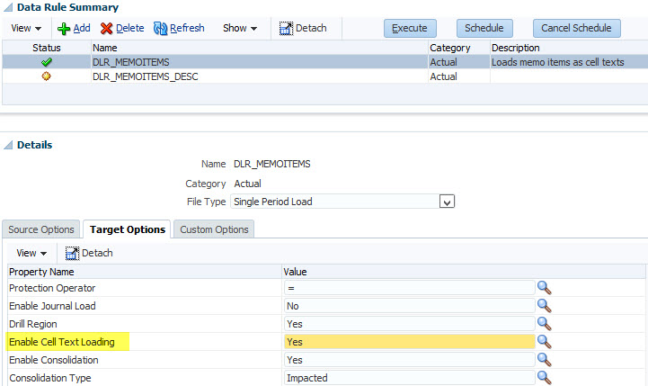 fishing with FDMEE: Loading Cell Texts into HFM from Flat Files