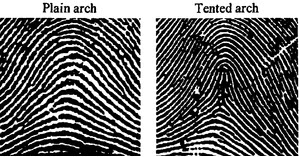 Forensics: Fingerprinting