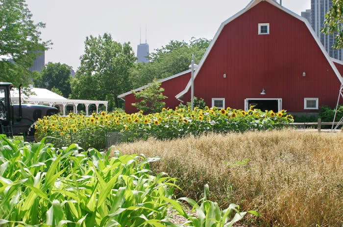 Egy egész életen át!: Farmos képek