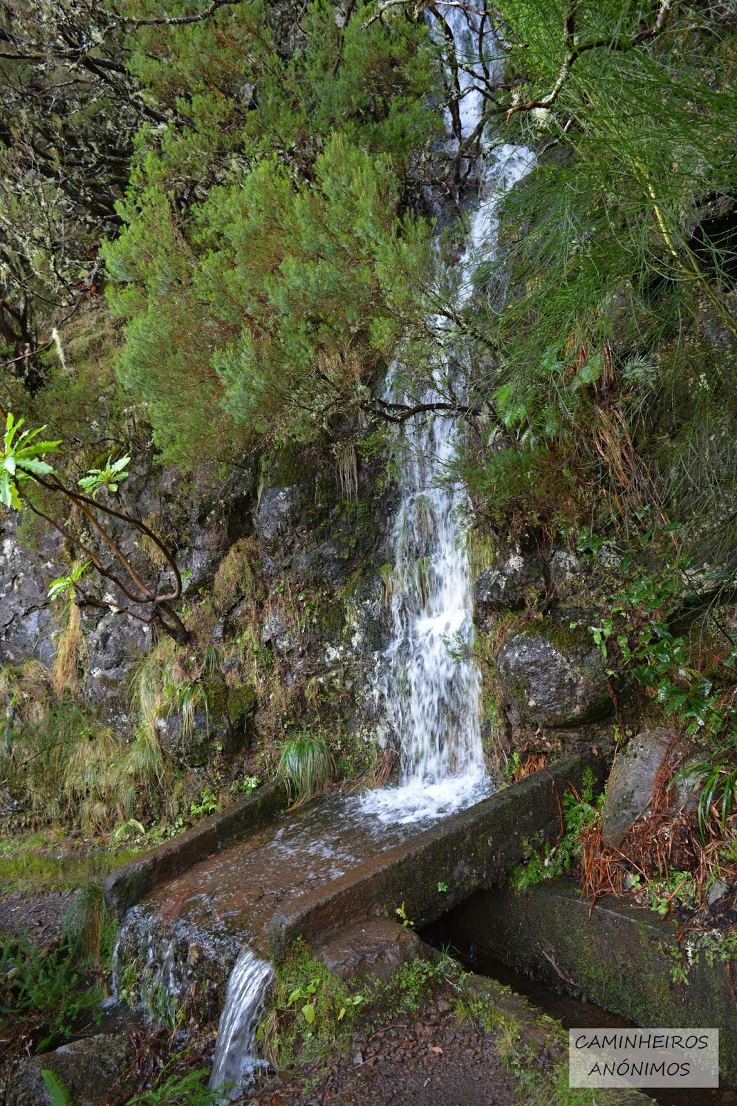 Caminheiros Anónimos Levadas da Madeira : Levada Grande do Paul (Calheta)