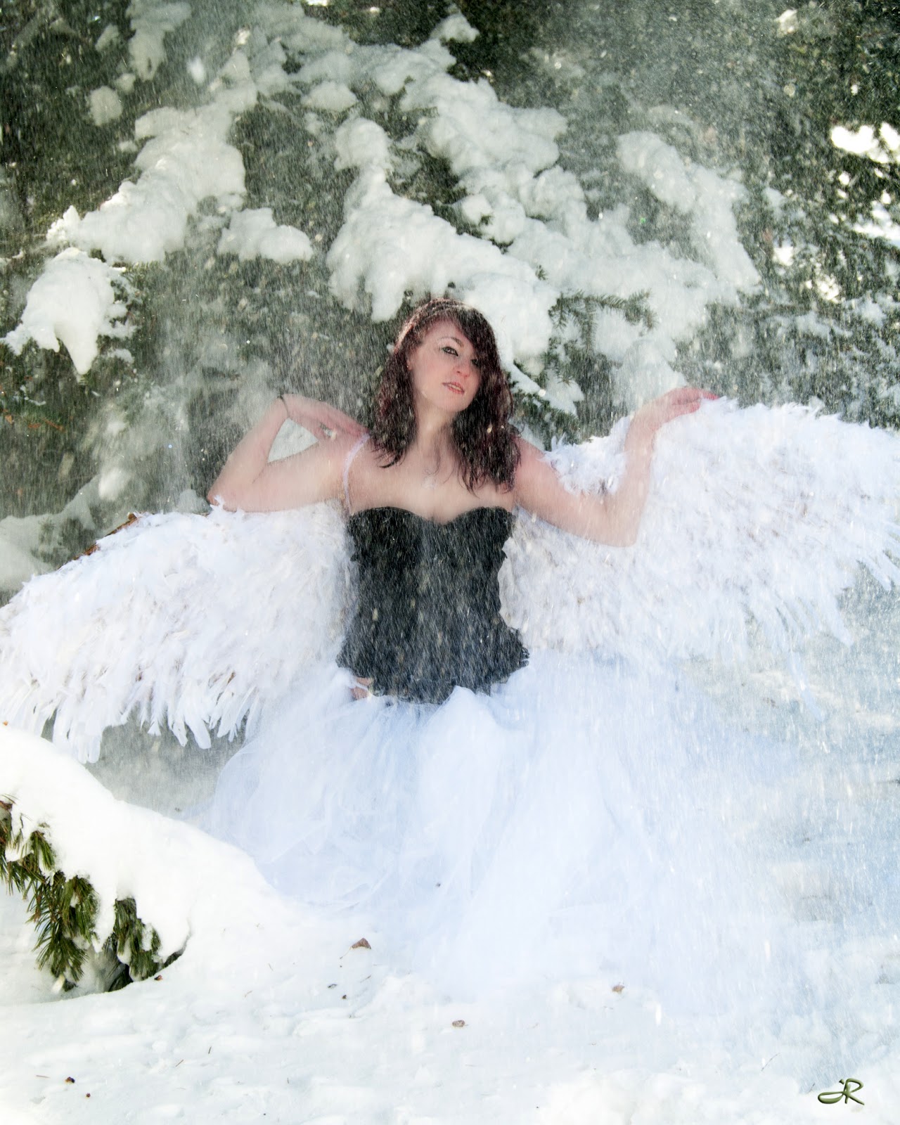 Jacque Russell Imagery: Destinee Playing in Snow ~ Jacque Russell ...