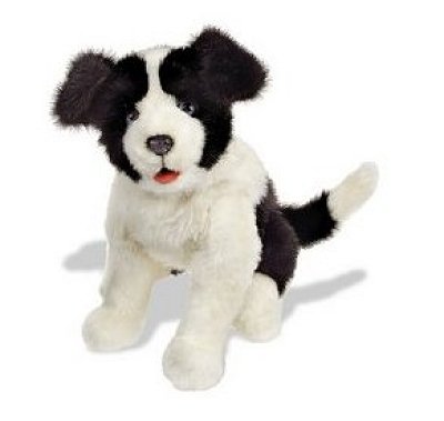 Pets and Pickles: Pet Alternatives and Fake Pets