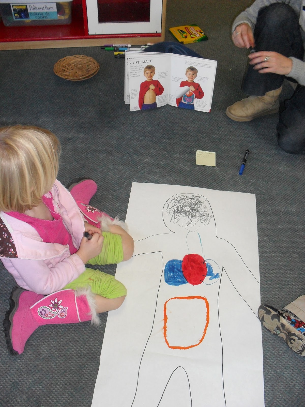 Ms. Ariann's Preschool Classroom: Human Body (wk 1)