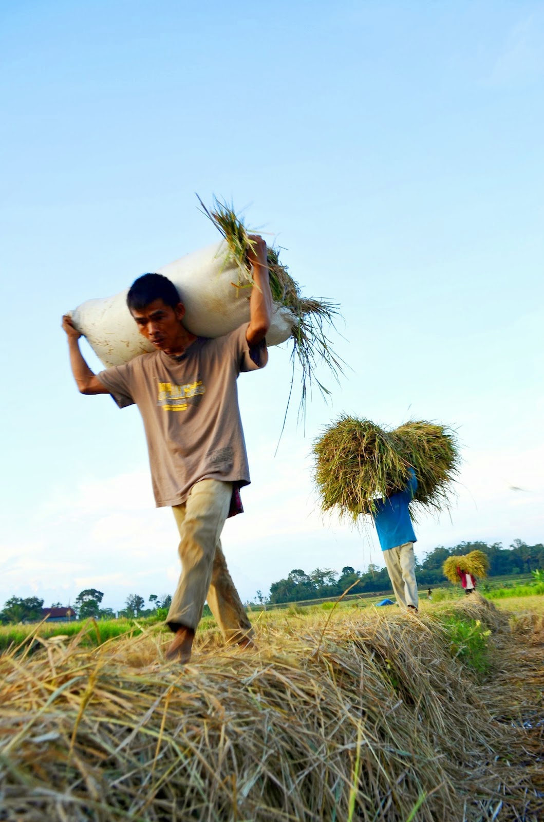 TANAH AIR KU: Apa itu foto Human Interest