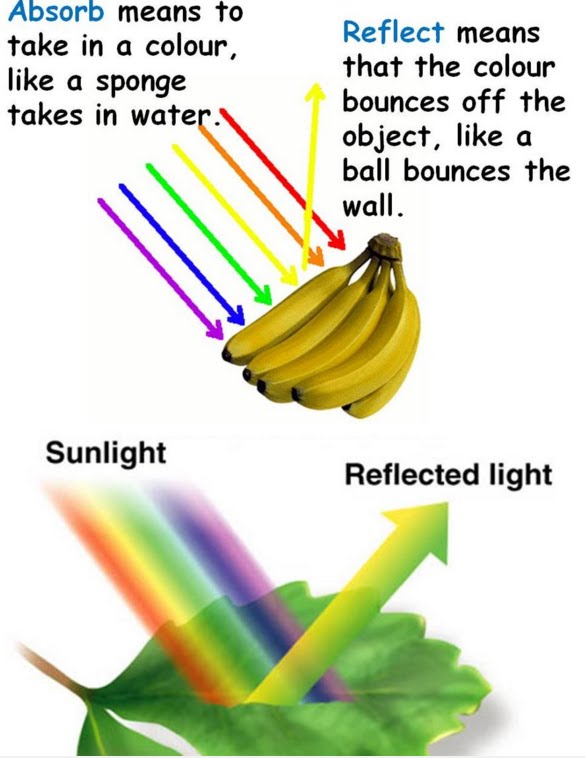 NATURAL SCIENCE: LIGHT INFORMATION